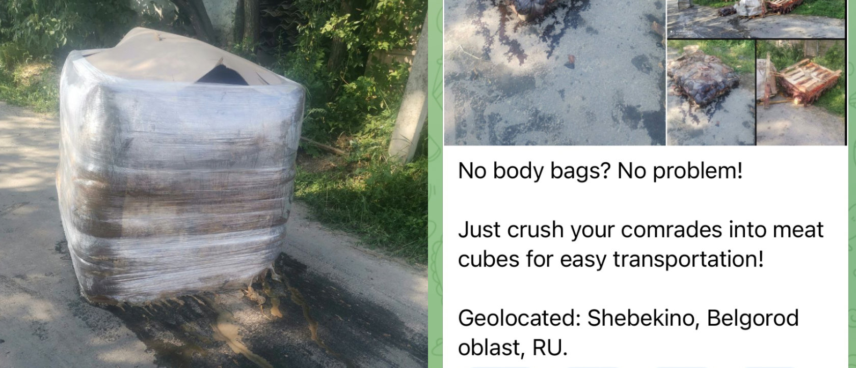 Foto’s van ‘samengeperste Russische soldaten’ zijn bevroren dierlijke ...